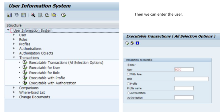 11 SAP TCODES that all auditors should know - Part 9