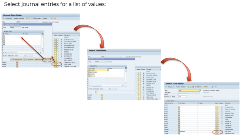 SE16N: A Must-Know Transaction Code for SAP Data Analytics